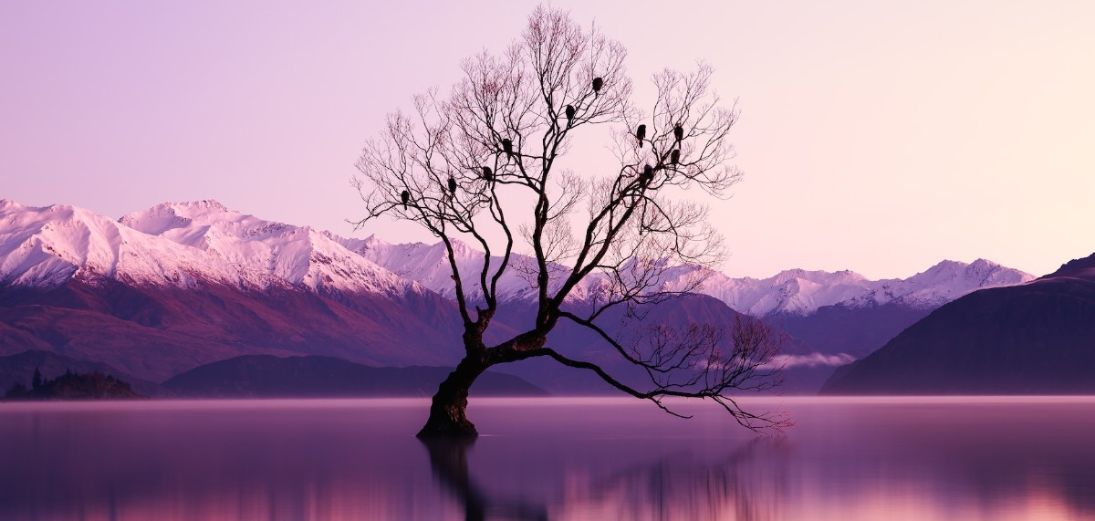 Cérésine natural & spécial waxes